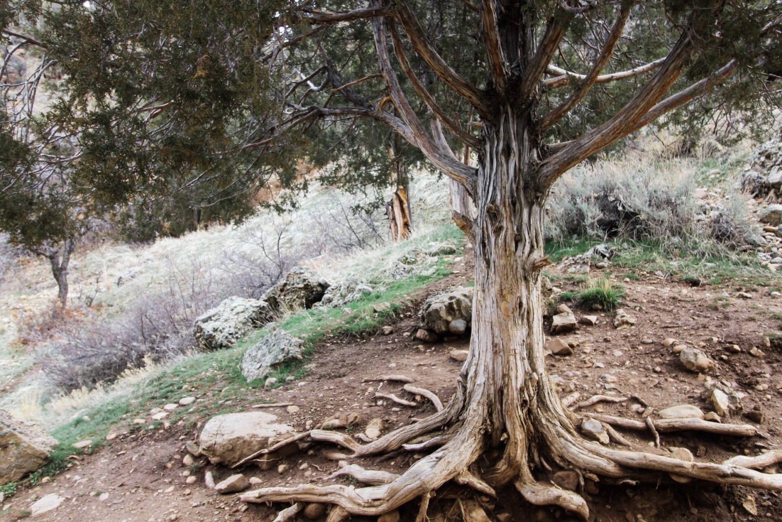 How To Ditch The Crowds At Diamond Fork Hot Springs [Fifth Water Hot ...