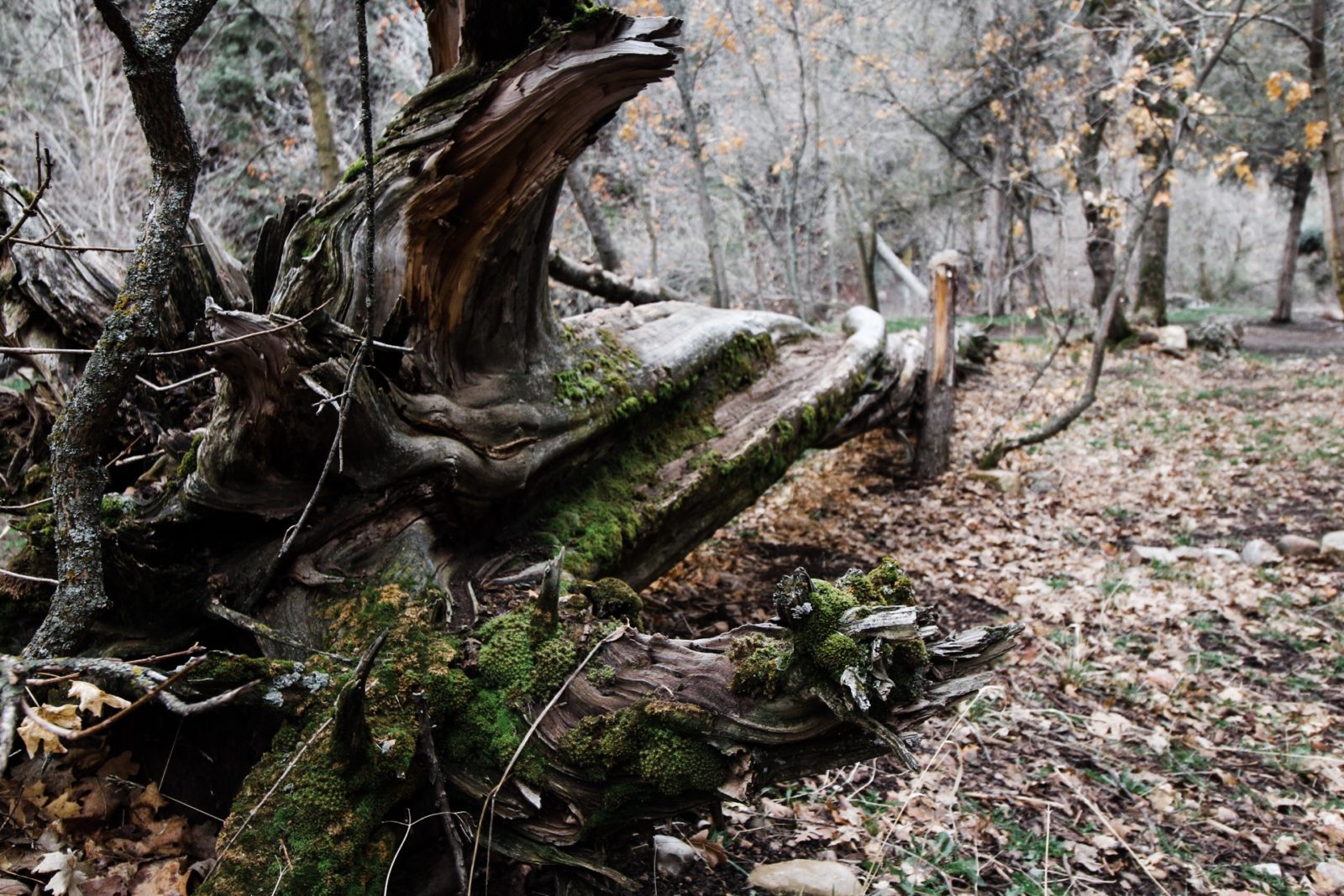 How To Ditch The Crowds At Diamond Fork Hot Springs [Fifth Water Hot ...