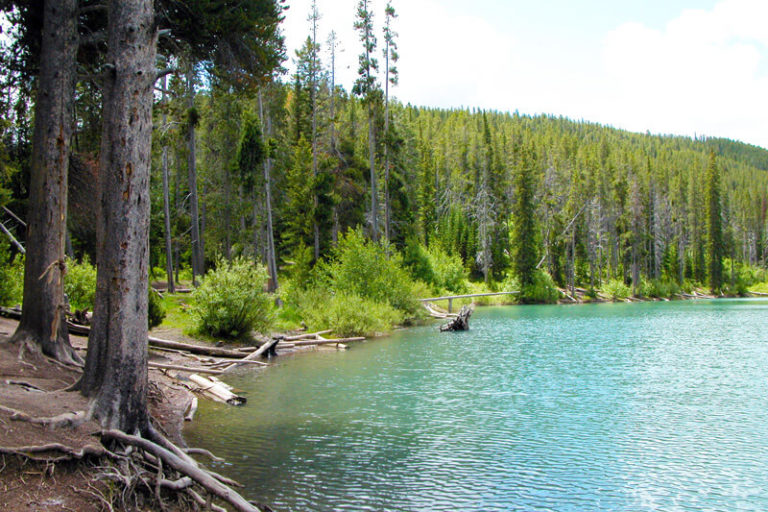 Best 19 Day Trips From Idaho Falls [Summer + Winter Ideas]